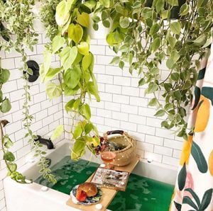 Transform Your Bathroom Into A Jungle Oasis With These 15 Jungle ...