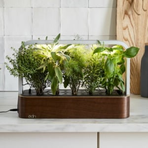 10 Best Window Sill Planters For Your Home - The Homey Space