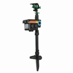 Best Motion Activated Sprinkler For Your Yard - The Homey Space