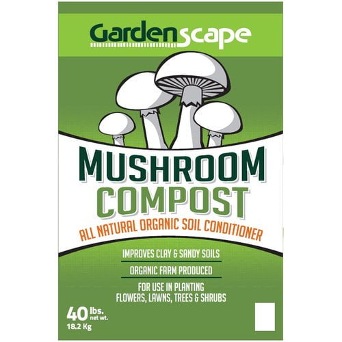 A Beginner's Guide To Mushroom Compost - The Homey Space