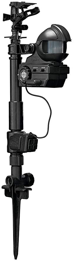 Best Motion Activated Sprinkler For Your Yard - The Homey Space