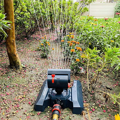 The Best Above-Ground Sprinkler System - The Homey Space